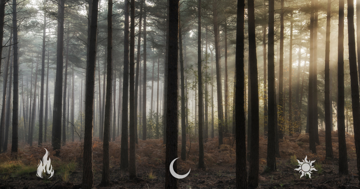 Homepage [www.elisedaniellemarion.ca]